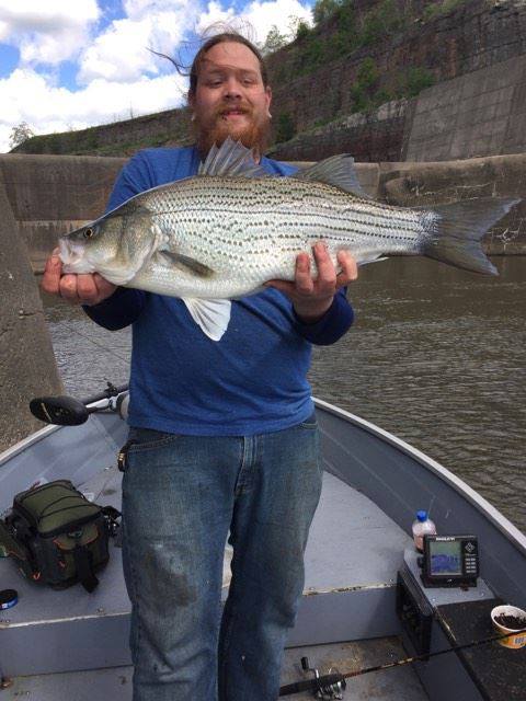 6-4-17 Good Fishing continues through weekend. Trout, Crappie, Cats ...